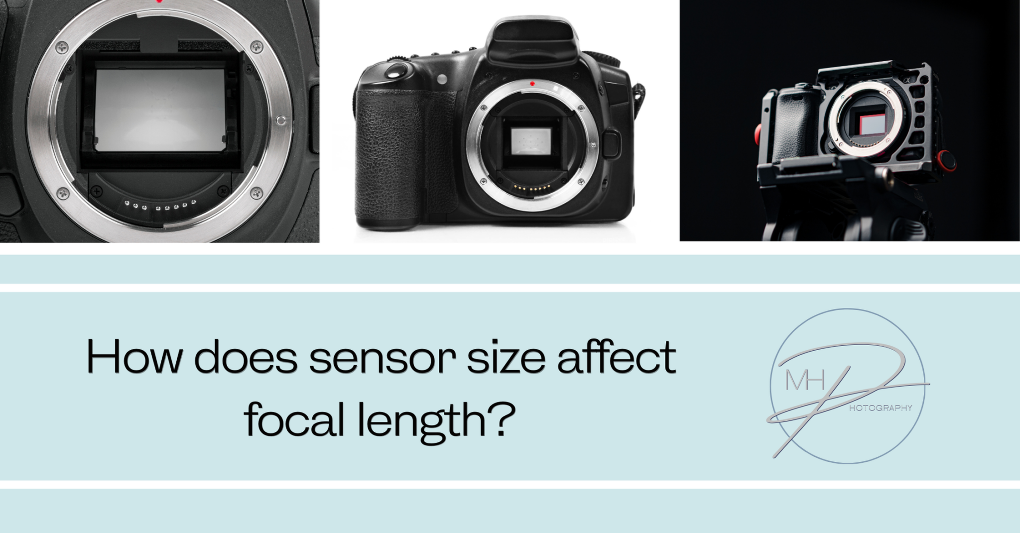 Lens distortions and compression explained - Monique Harmer Photography