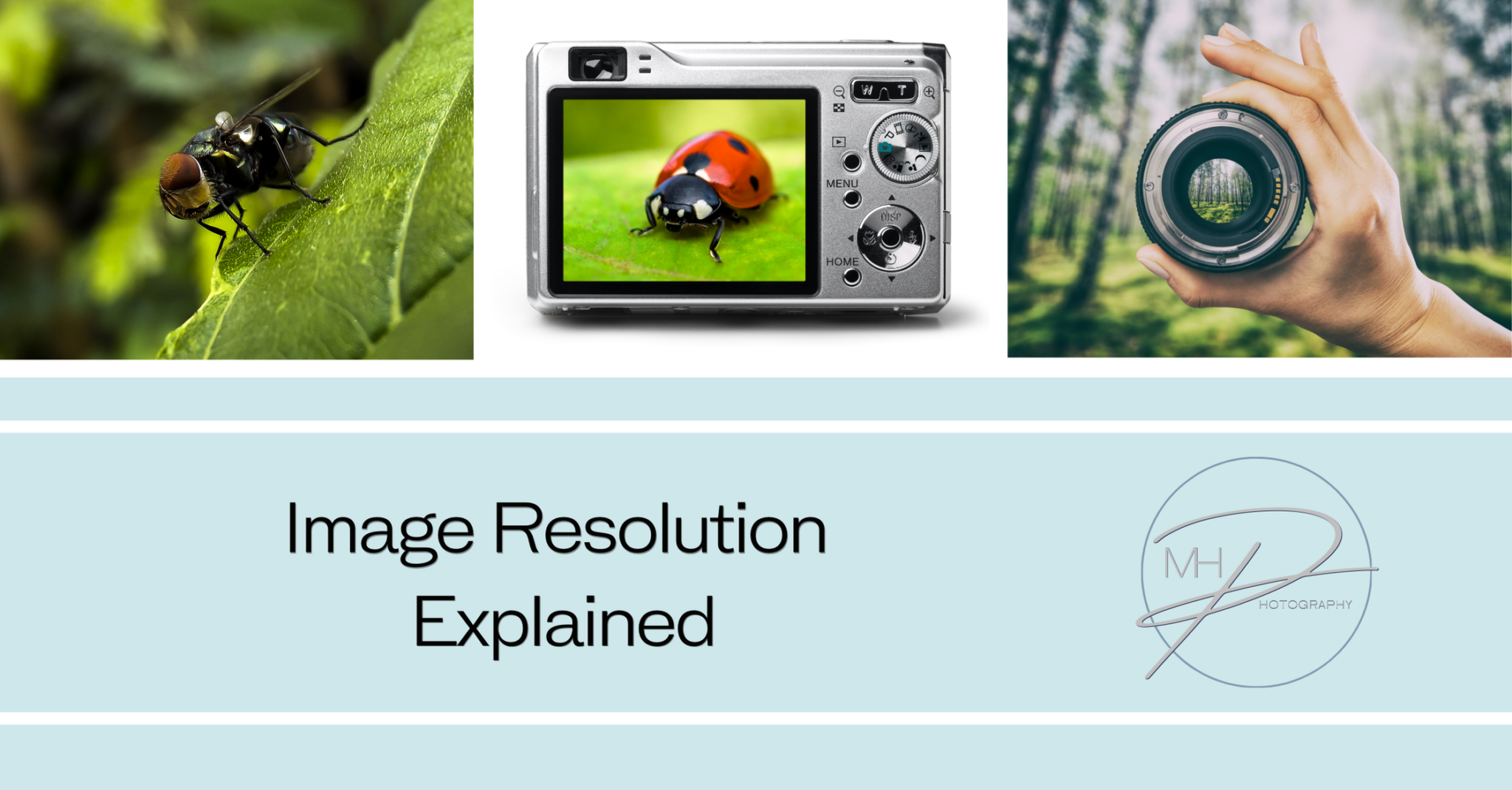 Lens distortions and compression explained - Monique Harmer Photography