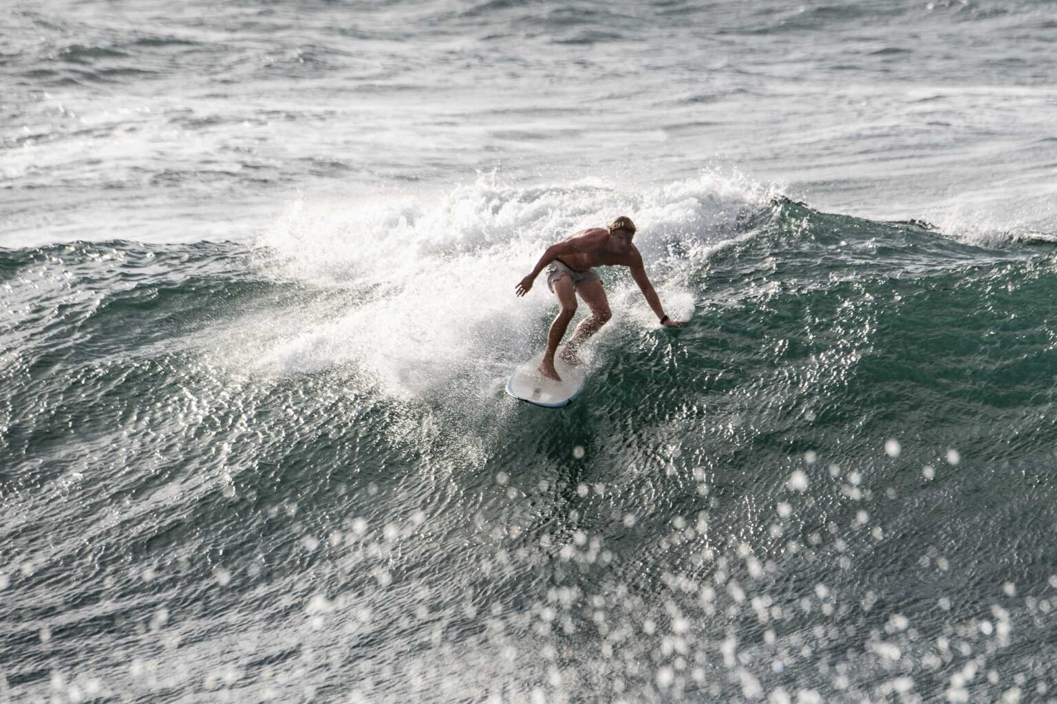 Megapixels low light performance explained - https://moniqueharmer.photography/