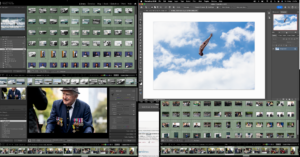 Image Resolution explained - https://moniqueharmer.photography/