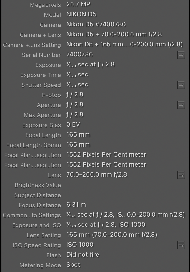 best camera settings low light without flash - https://moniqueharmer ...
